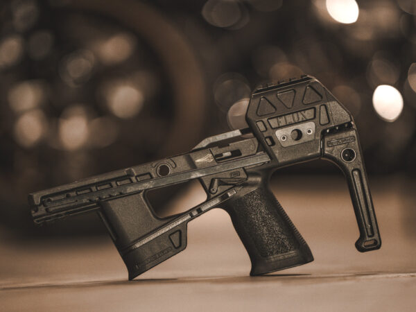 Raider X BLEM - P320 - FLUX Defense