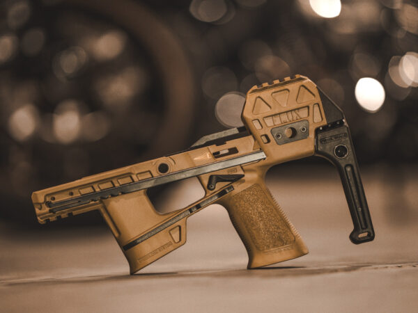 Raider X BLEM – P320 – FLUX Defense